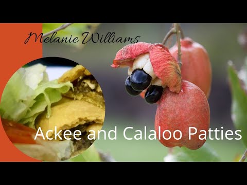 How To Make Ackee and Callaloo Patties - YouTube