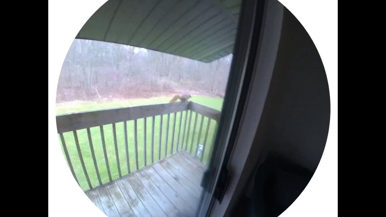 Snapchat Spectacles Sample Video 3 - YouTube