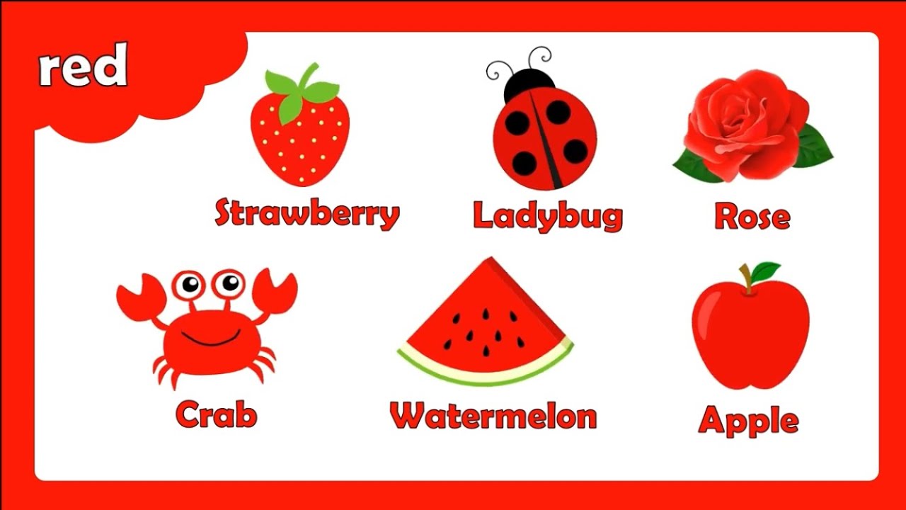 Learn the Colors | Colors for kids | Identify Basic Colors and Color ...