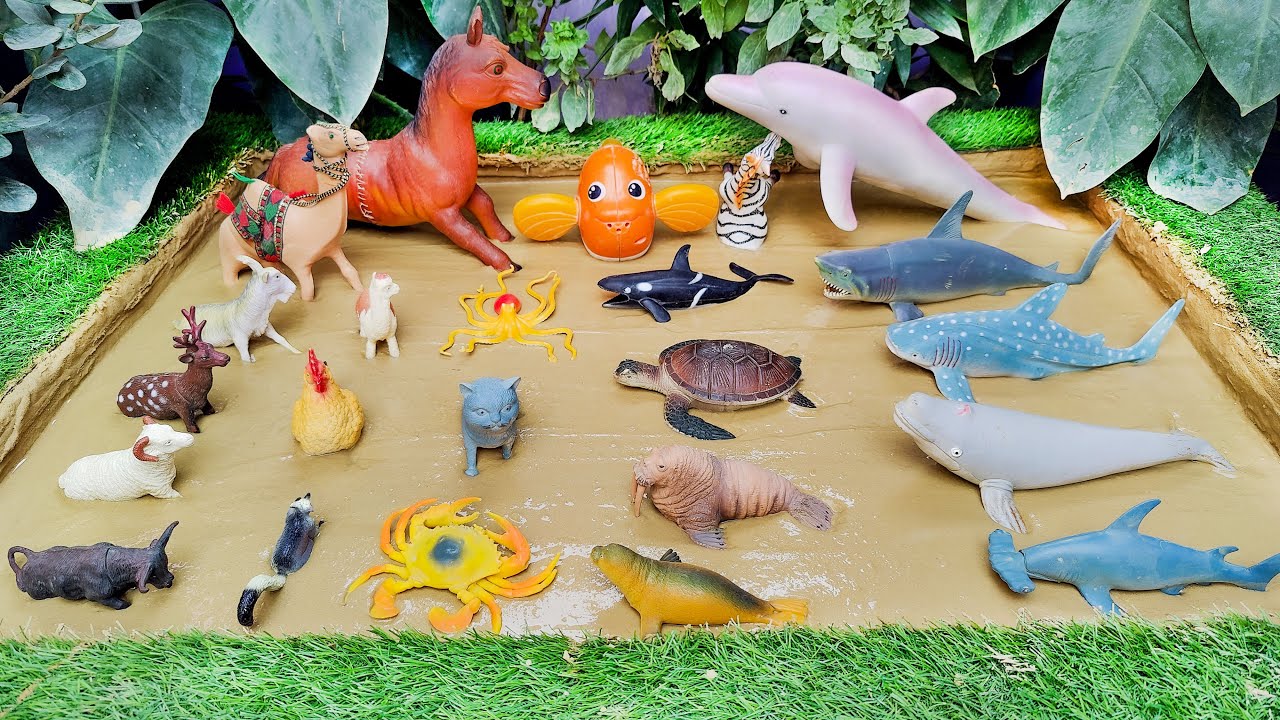 Aquatic Sea Animals Stuck in Mud and Learn Farm Animals Names and Fun ...