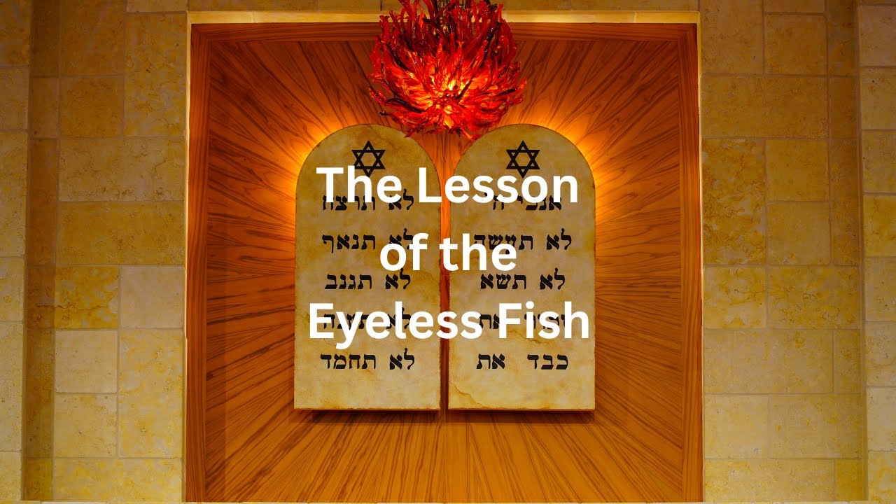 The Lesson of the Eyeless Fish—Rabbi Benjamin Sendrow - YouTube