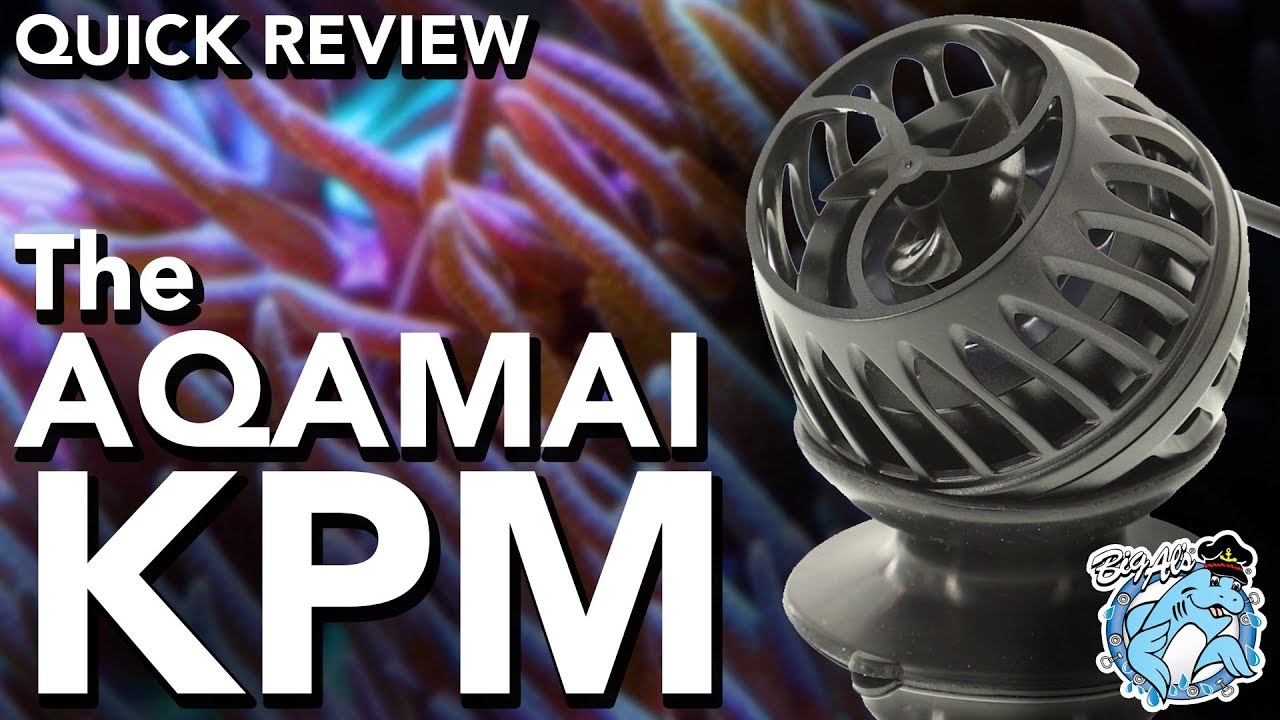 Quick Review: Aqamai KPM Wavemaker Pump | BigAlsPets.com - YouTube