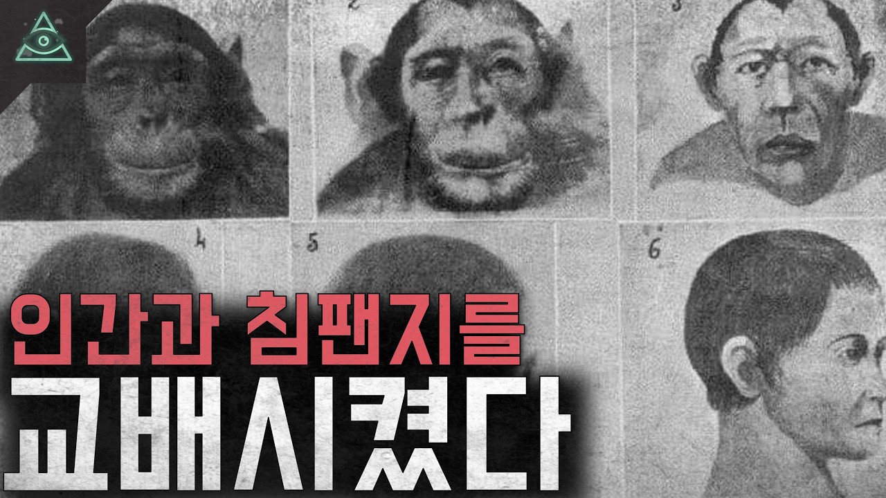 인간과 침팬지의 이종교배 역사상 최악의 실험 '휴먼지 프로젝트' - YouTube