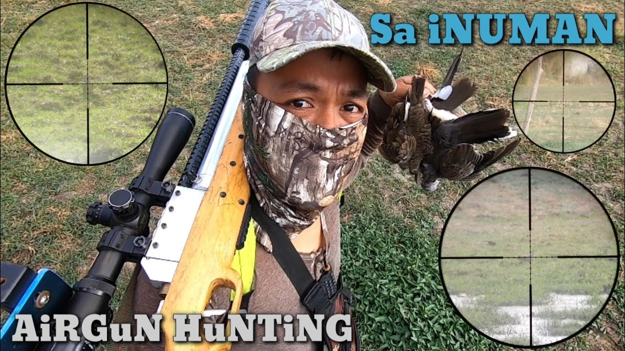 SiNUNOG ang PUNO sa ating KURA - YouTube