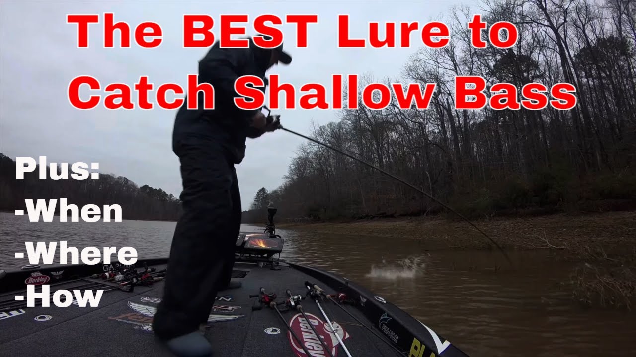 Best Lure for Shallow Largemouth Bass Fishing: How To Catch Big Bass ...