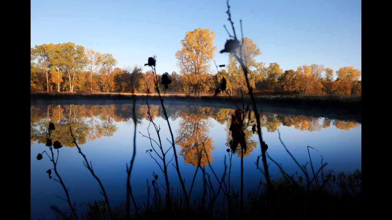 Fall colors pop in Tulsa - YouTube