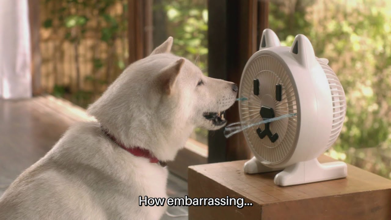 White Family SoftBank Dog CM #132. "Conserving Electricity" Japanese ...