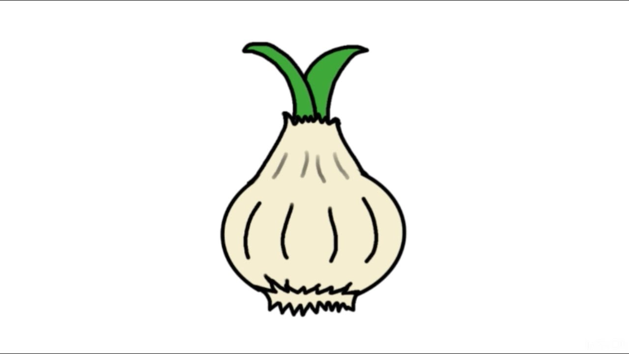 Cara Menggambar Bawang Putih | How to Draw a Garlic - YouTube