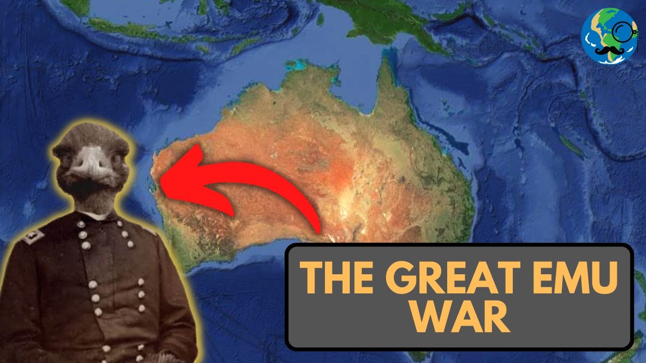 How Australia Fought A War Against Birds... And Lost - YouTube