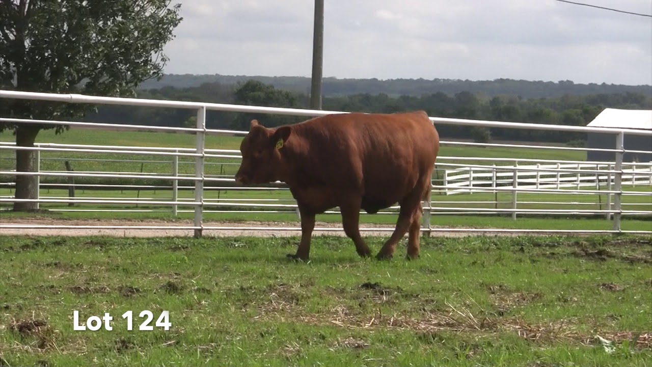Lot 124 YouTube lot-124-youtube
