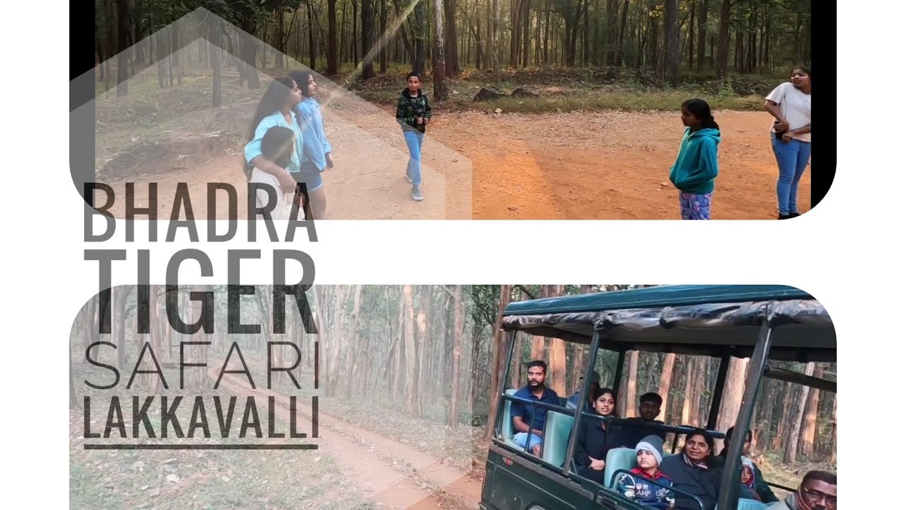 Bhadra Tiger Reserve Safari tour | Lakkavalli Chikkamagaluru | Bhadra ...