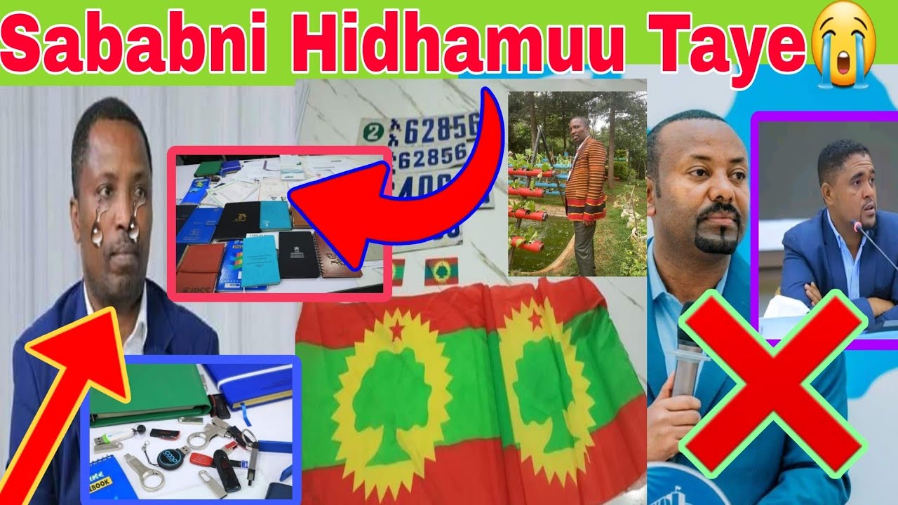 Sababni Taye Dendea Aredo Aangoo Irraa Ari'ameeffi Hidhamuu Isaatin ...