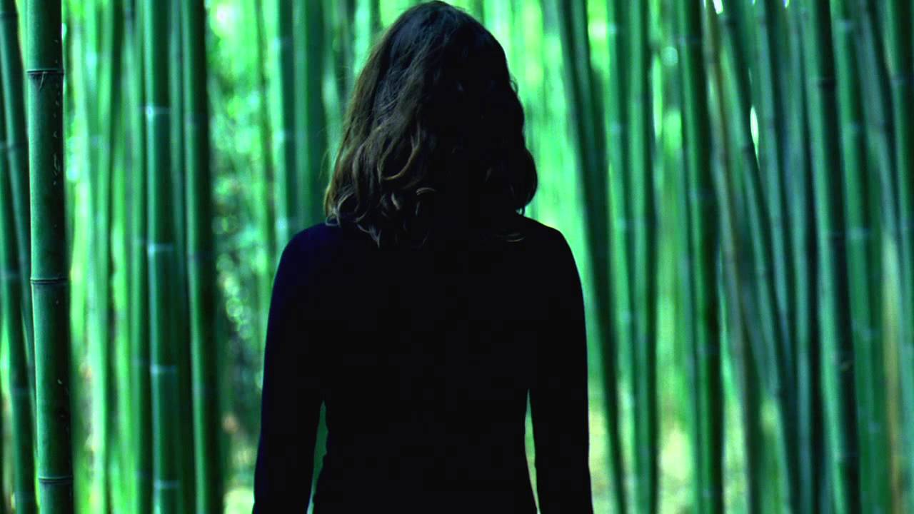 Doug Aitken Altered Earth Installation - YouTube