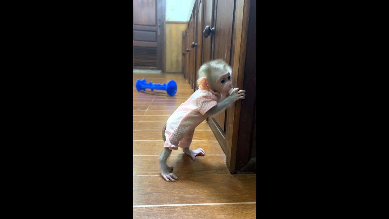 Good afternoon from Maddox - YouTube