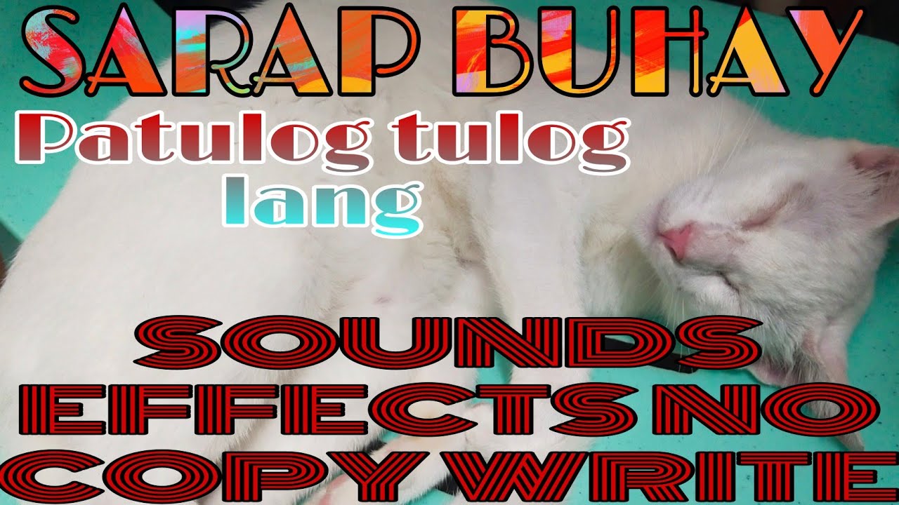 SARAP NG BUHAY PATULOG TULOG LANG | SOUNDS EFFECTS #nocopyright - YouTube