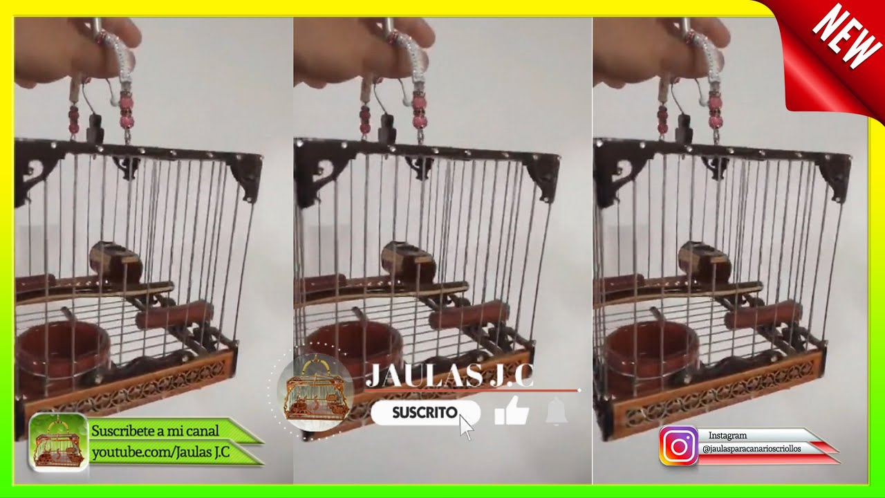 JAULAS DE LUJO NUEVOS MODELOS - YouTube