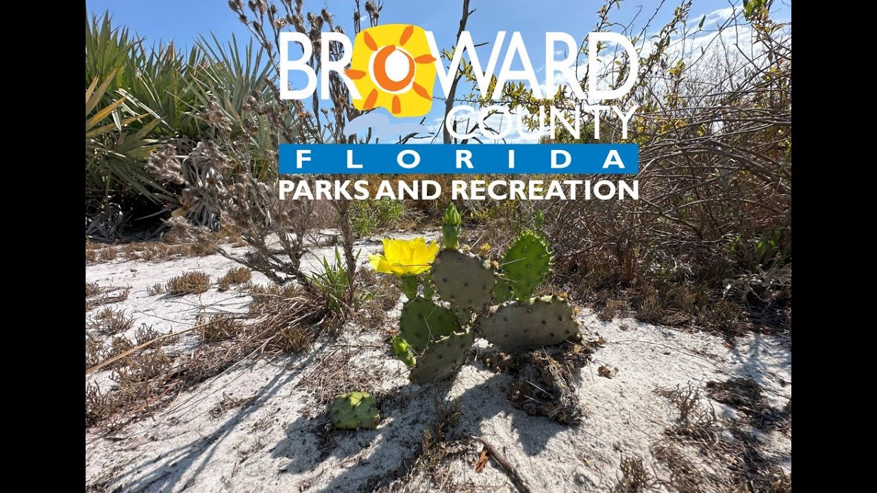 Parks Highlights - April 2025 - Earth Month with Broward County Parks ...
