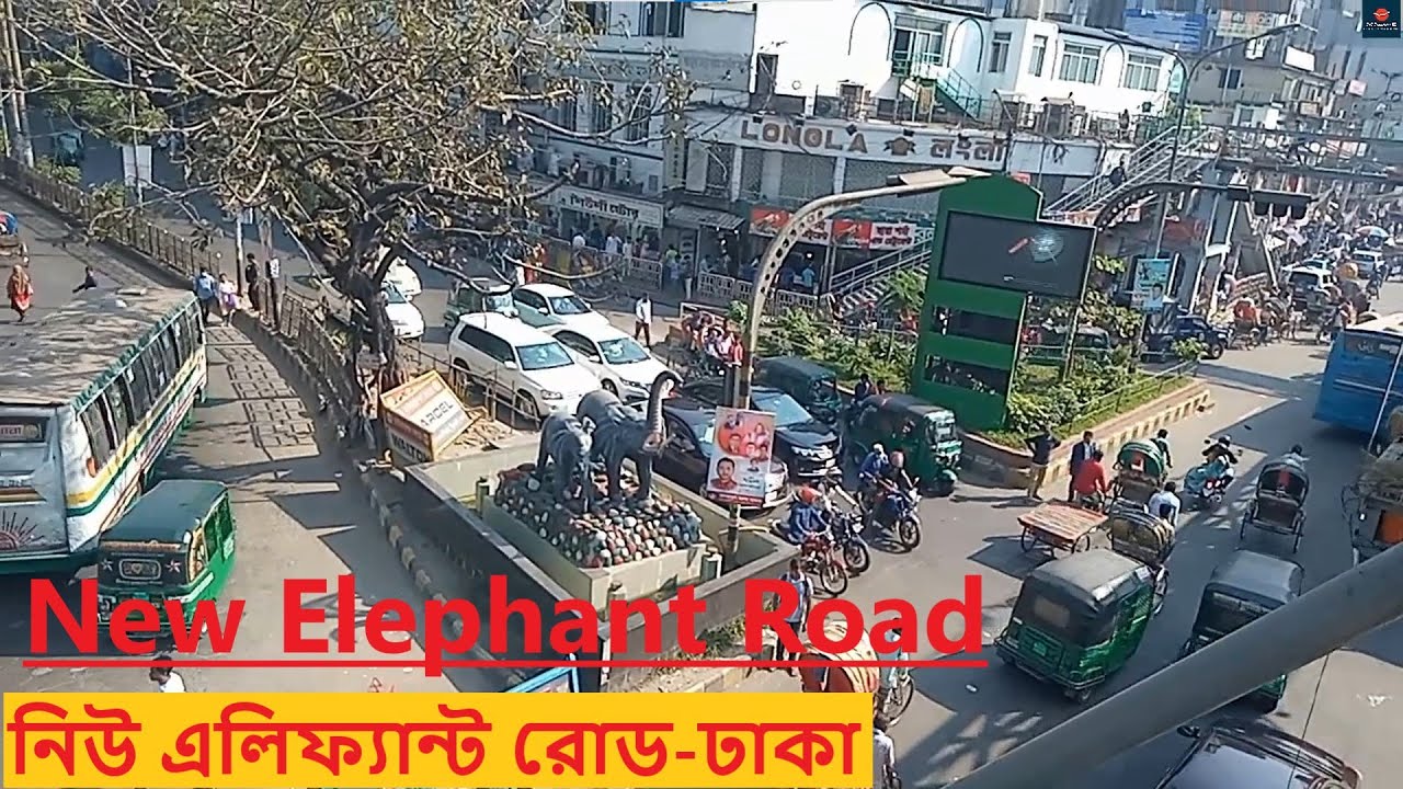নিউ এলিফ্যান্ট রোড | এলিফ্যান্ট রোড মার্কেট | New Elephant Road, Dhaka ...