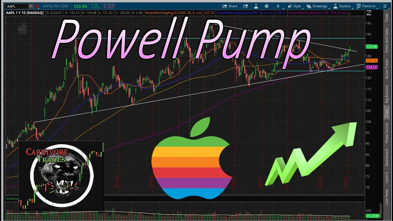 Powell Pumps, Tech Leads - YouTube