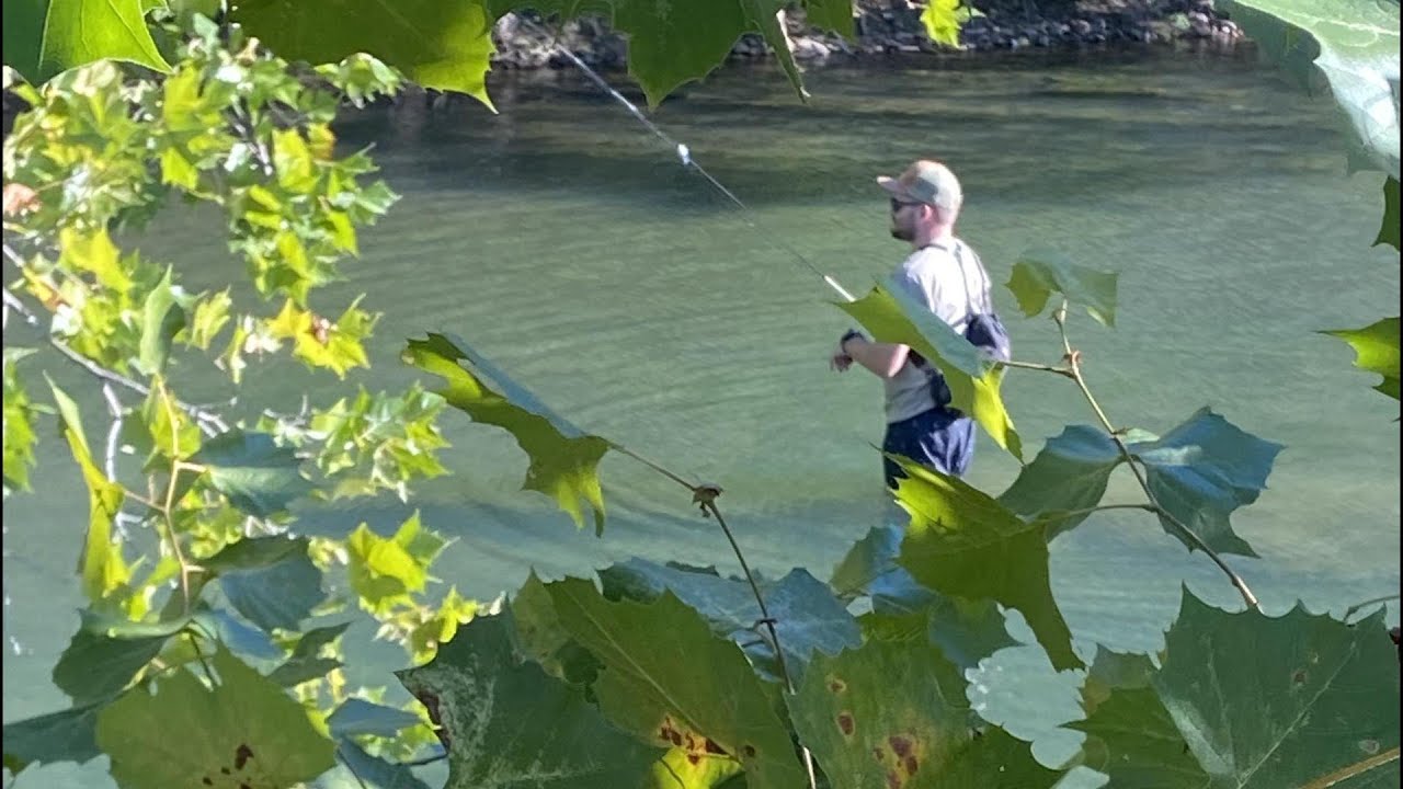 Creek Fishing In A Beautiful Spot - Amazing Catches!! - YouTube