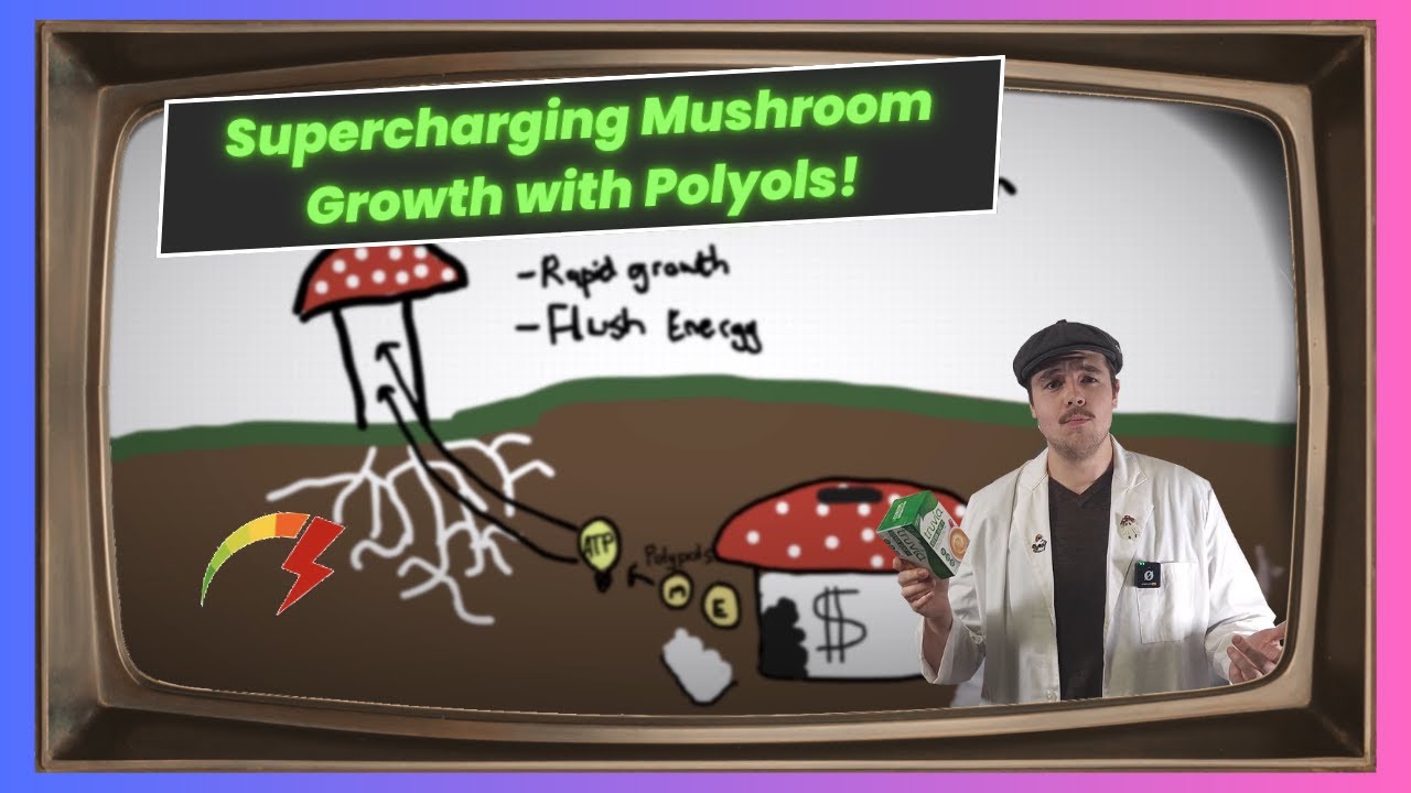 Supercharging Mushrooms with Sugar Alcohols: Erythritol Experiments ...