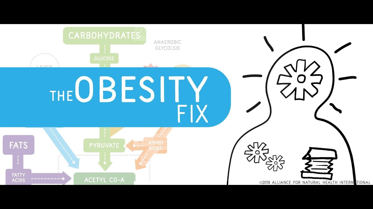 The Obesity Fix part 1 - YouTube