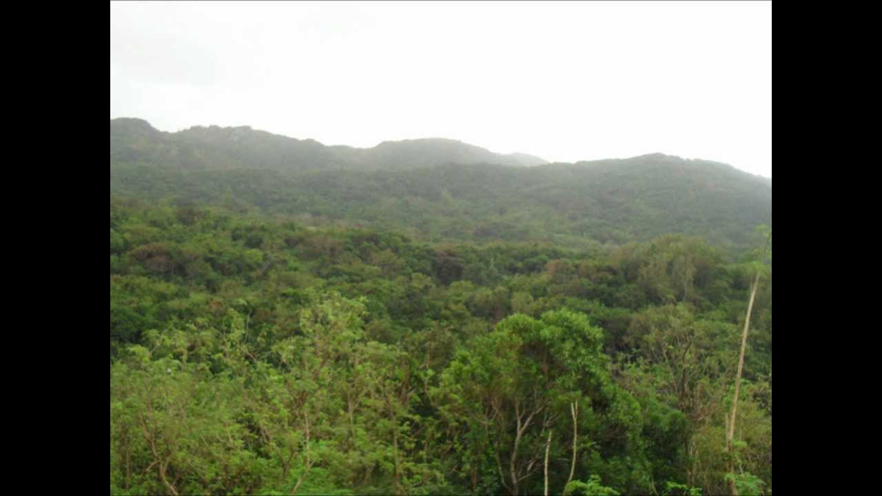 Alay sa pagsamba by Romel Guevara - YouTube