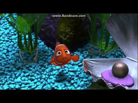 DENTISTA NEMO
