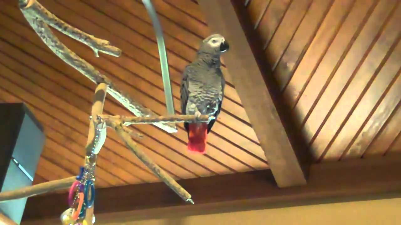 Merlin Merry Christmas - YouTube