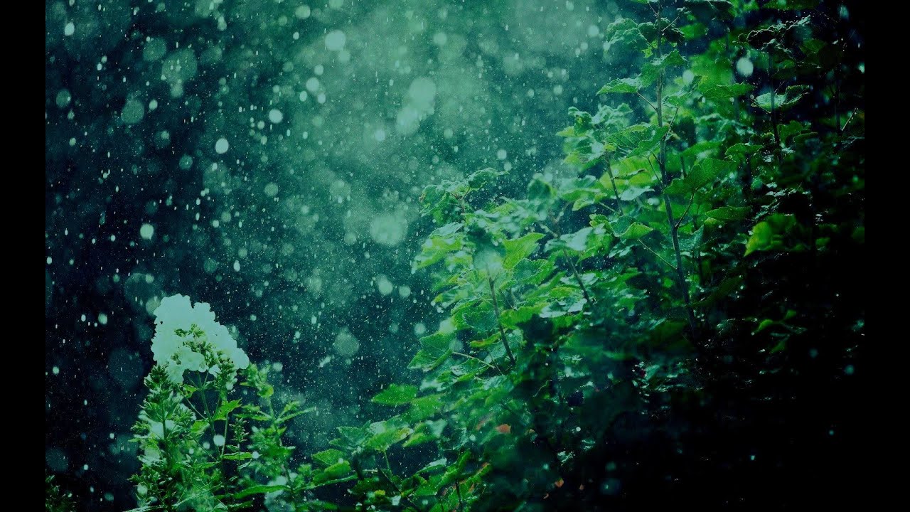 Ambient Night Sounds and Rain for Sleeping, Relaxing, Meditation - YouTube