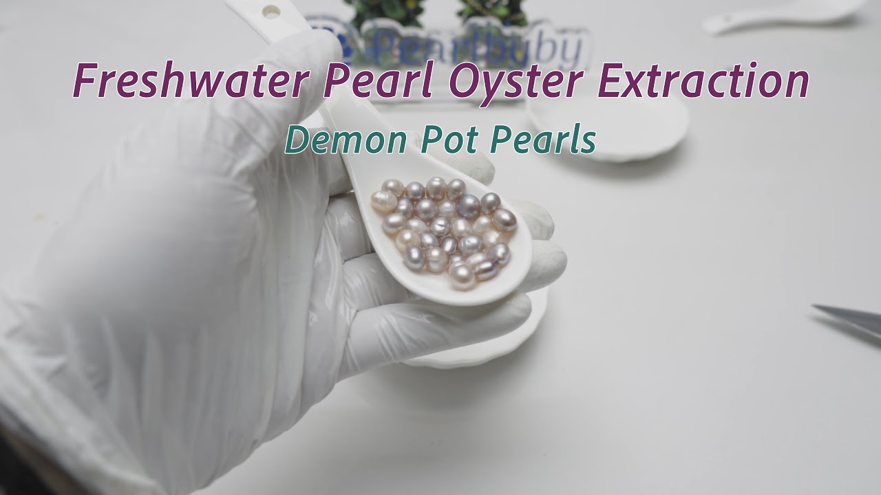 ASMR Real Pearl Oyster Extraction Freshwater Pearl, Demon Pot Shape ...