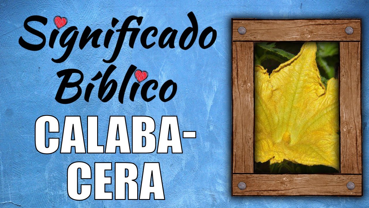 Calabacera Significado Bíblico | ¿Qué Significa Calabacera en la Biblia ...