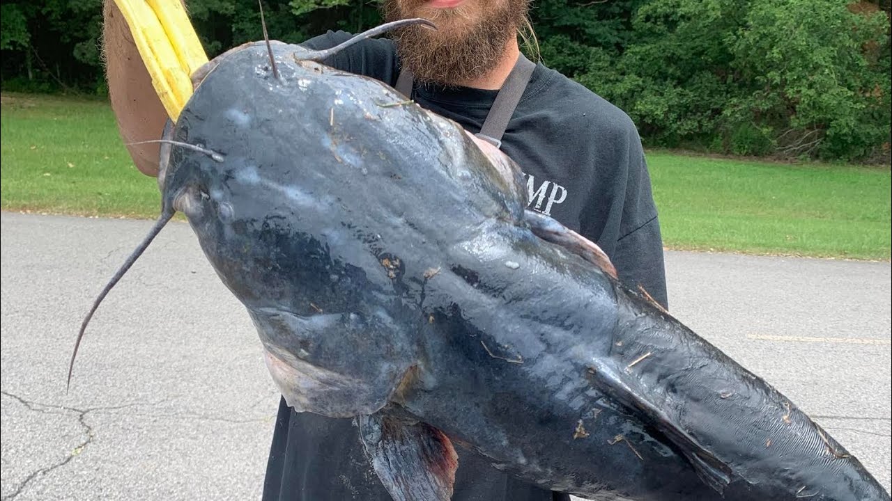 Over night Catfishing on a Remote River! (Big Fish!!) Catching big ...