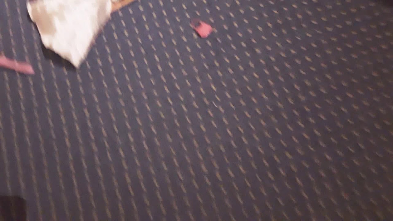 December 12, 2017 - YouTube