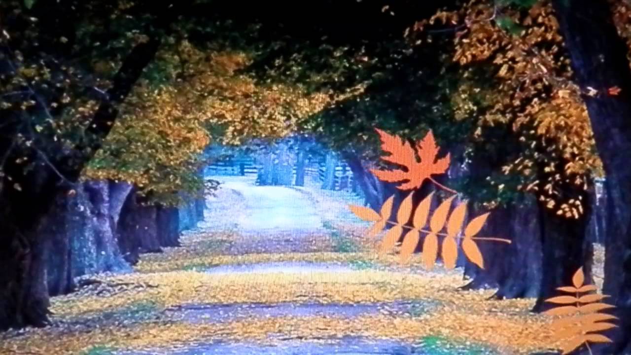 3D Fall Screensaver - YouTube