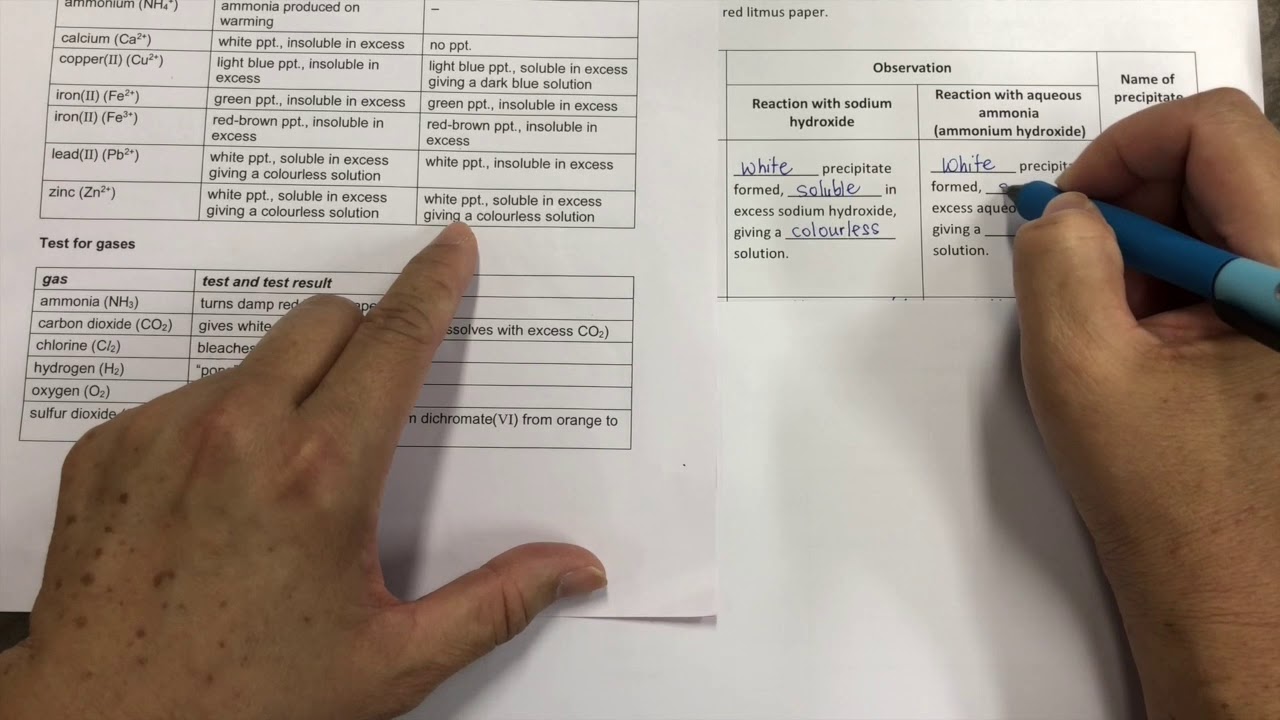 How to record observations for cation test? - YouTube
