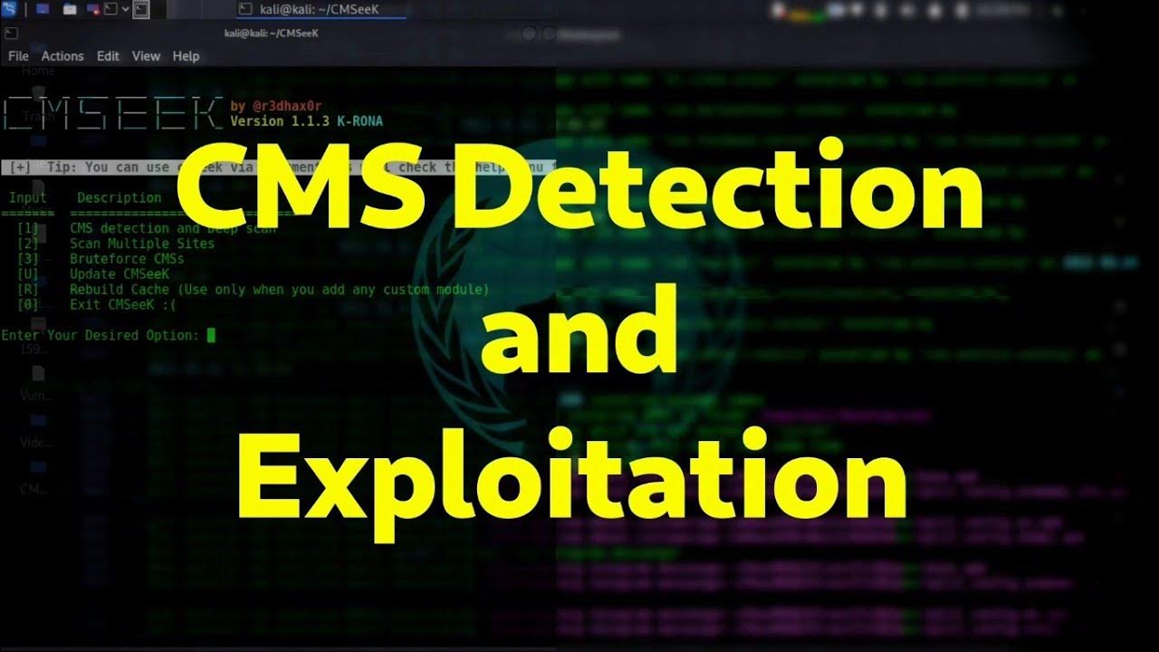 Cmseek Cms Detection And Exploitation On Kali Linux 2023 Youtube
