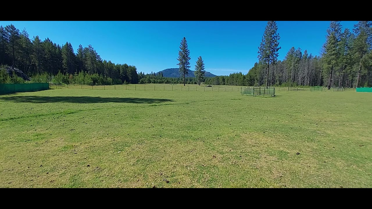 Peg at Moon Creek - 6/21/24 - YouTube