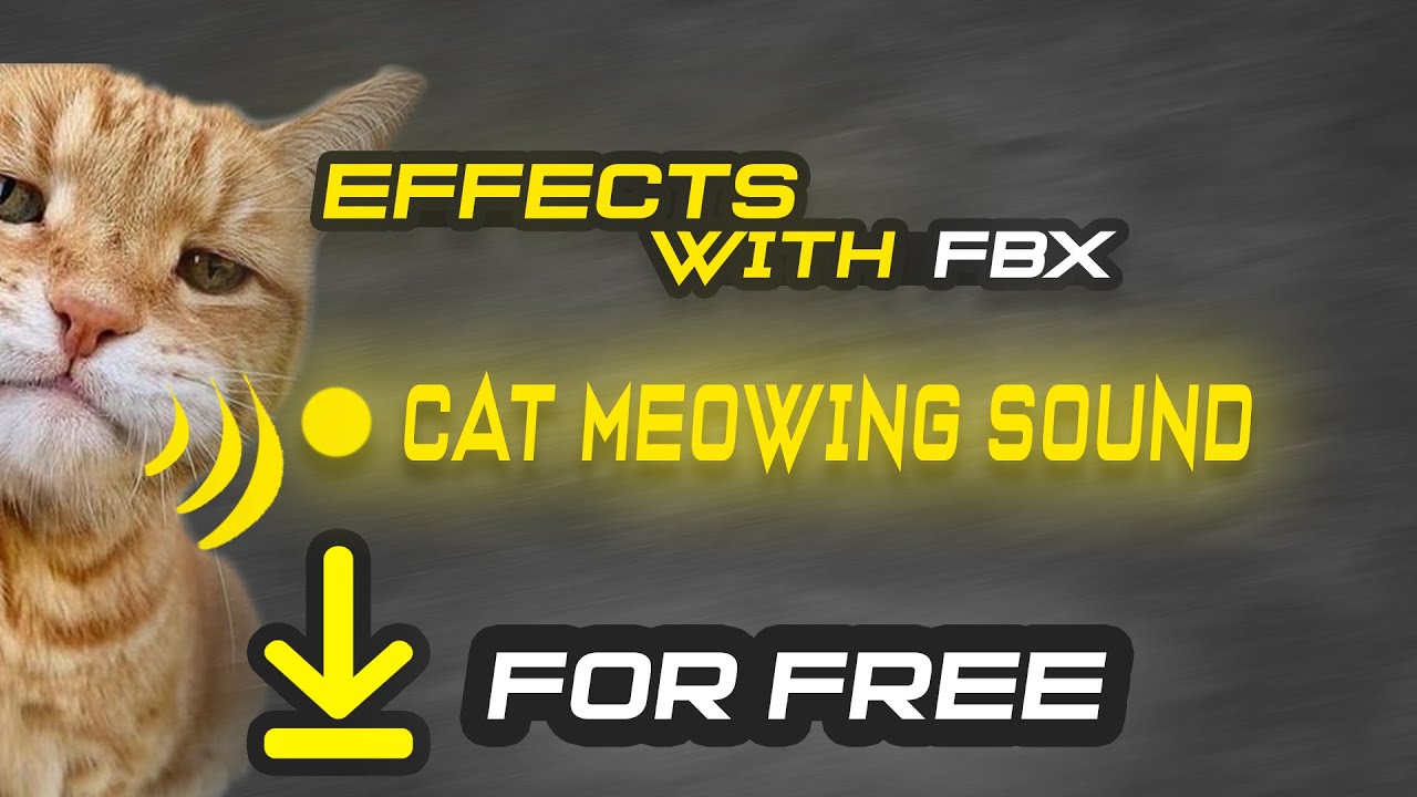 Cat Meowing Sounds Effects 1#soundeffects - YouTube