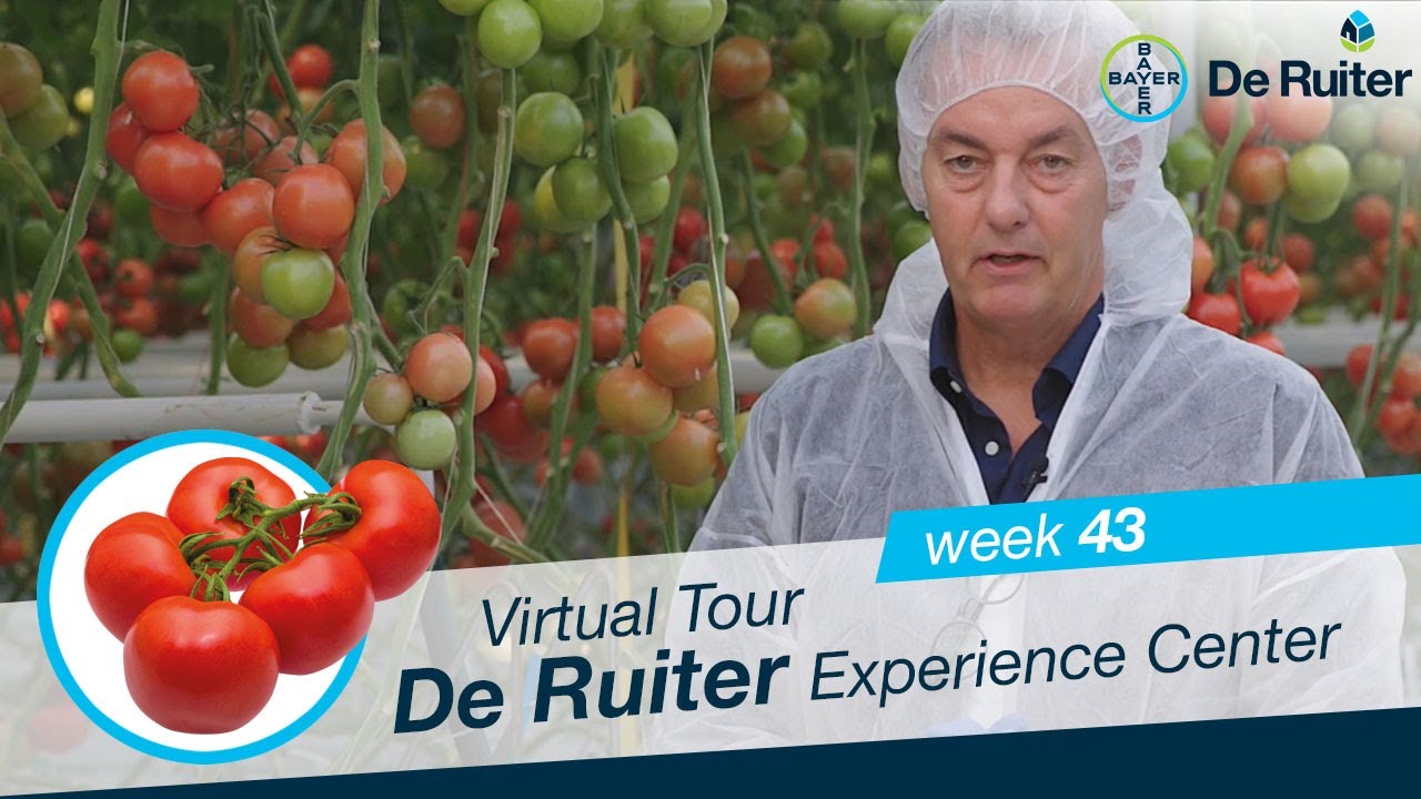 Virtual Tour De Ruiter Experience Center 28 Oktober 2022_NL - YouTube