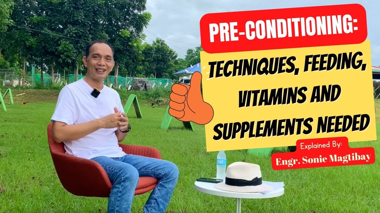 INTRODUCTION to Pre-Conditioning - YouTube