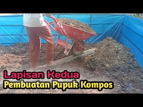 Lapisan Kedua Cara Membuat Pupuk Kompos Organik Kohe Sapi - YouTube