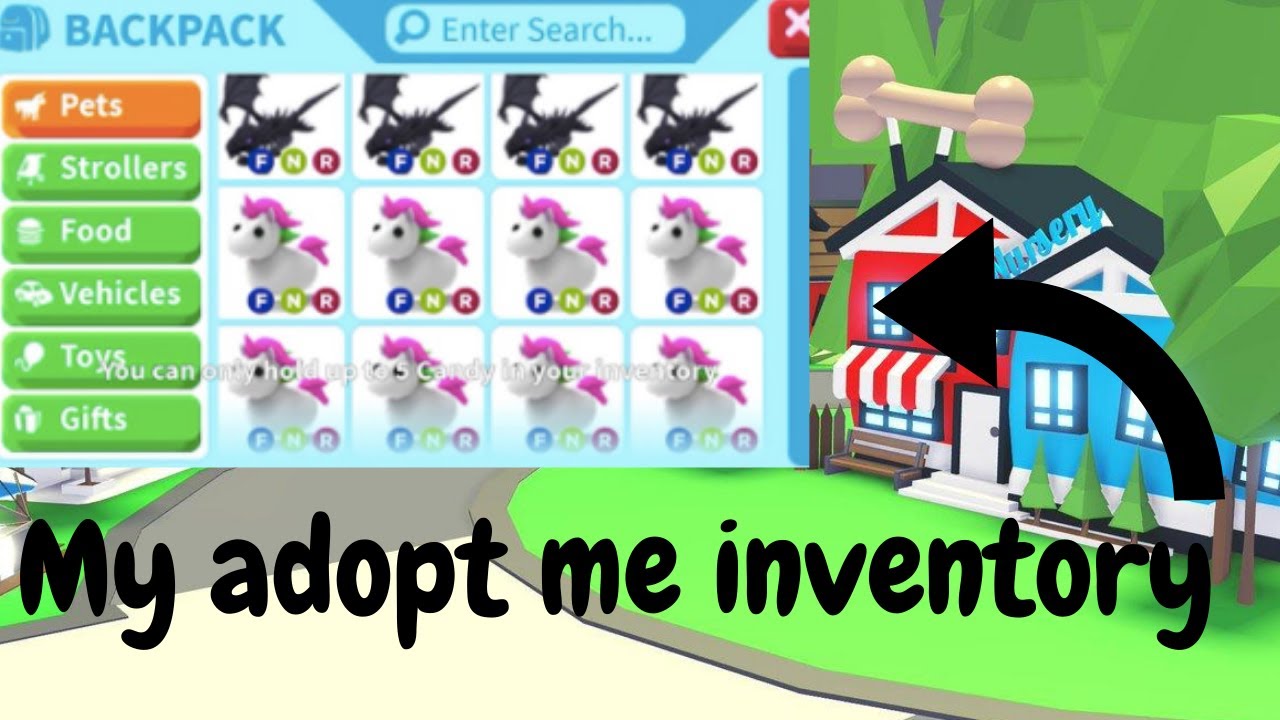My Adopt Me Invertory tour - YouTube