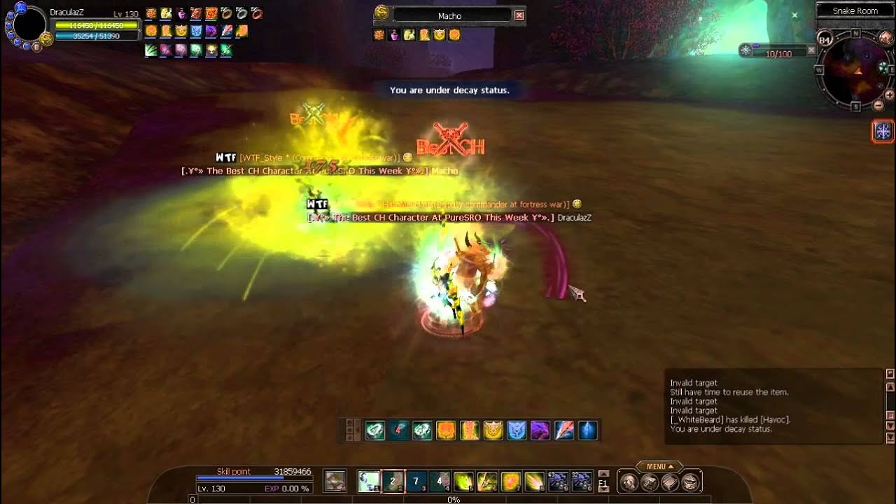 Pure Sro Private server! - YouTube