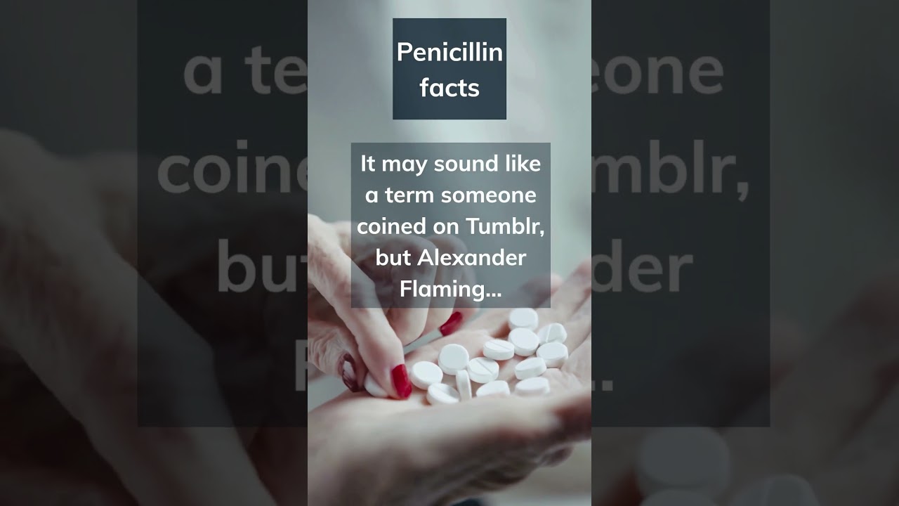 From Mold to Miracle: The Untold Story of Penicillin! 🍄 - Go IT