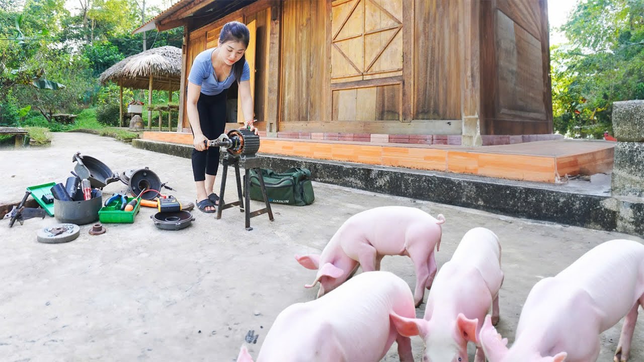 Pig Feed Grinding Machine Repair Techniques, Green Farm Building | Nhất ...