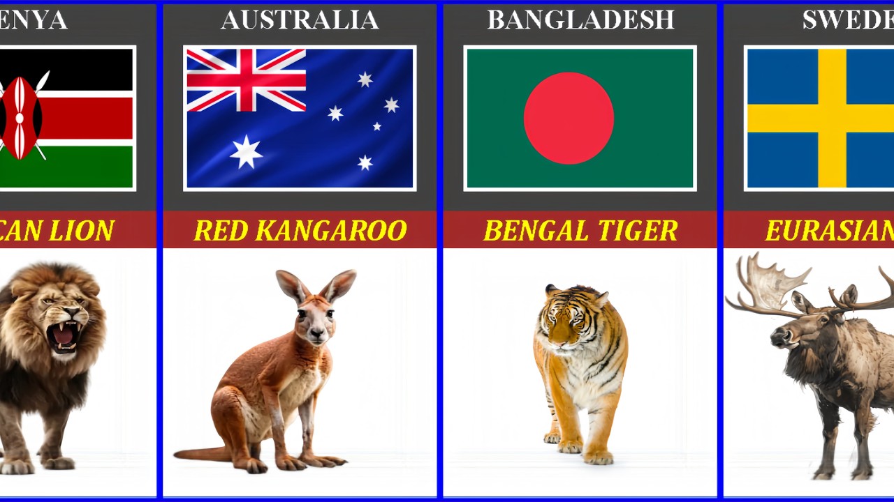 National Animals of Different Countries | Ultimate Comparison Video ...