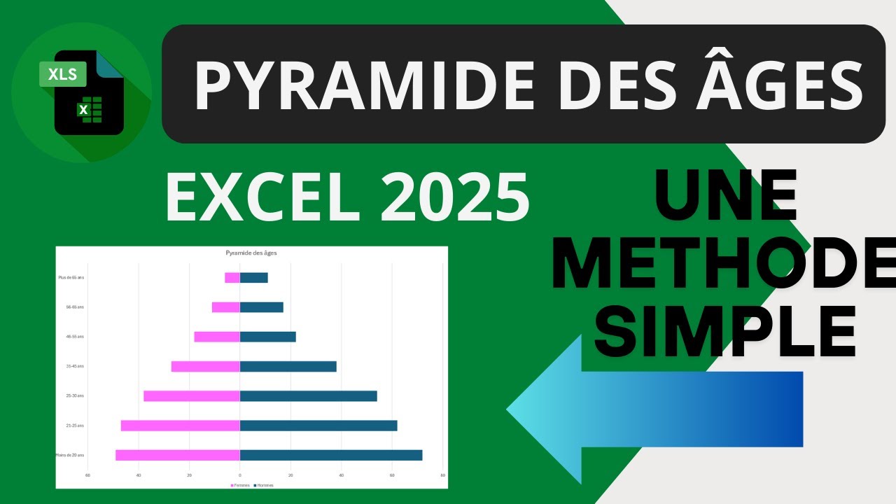 Comment Créer Facilement Une Pyramide des Âges dans Excel ? - YouTube