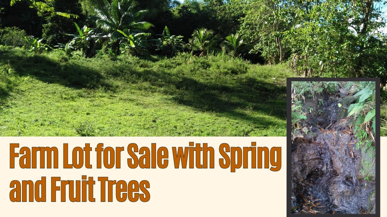 2 Hectares Farm Lot for Sale - YouTube