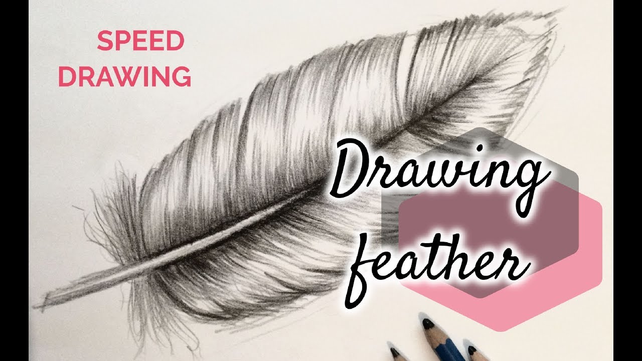DRAWING A FEATHER | REALISTIC ART DRAWING | GALERIE SAJA - YouTube